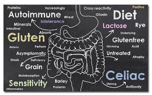 Autoimmune Elimination Diets Can Help Improve Leaky Gut and Inflammation