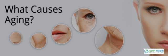 Top Anti-Aging Foods - Austin Texas Functional Medicine and Nutrition