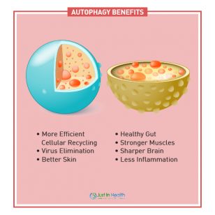 Autophagy: Anti-Aging, Self-Eating Cells!