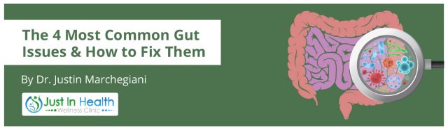 The 4 Most Common Gut Issues & How to Fix Them