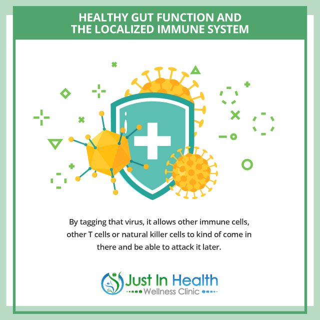 Healthy Gut Function Can Boost Your Immune System - Austin Texas ...