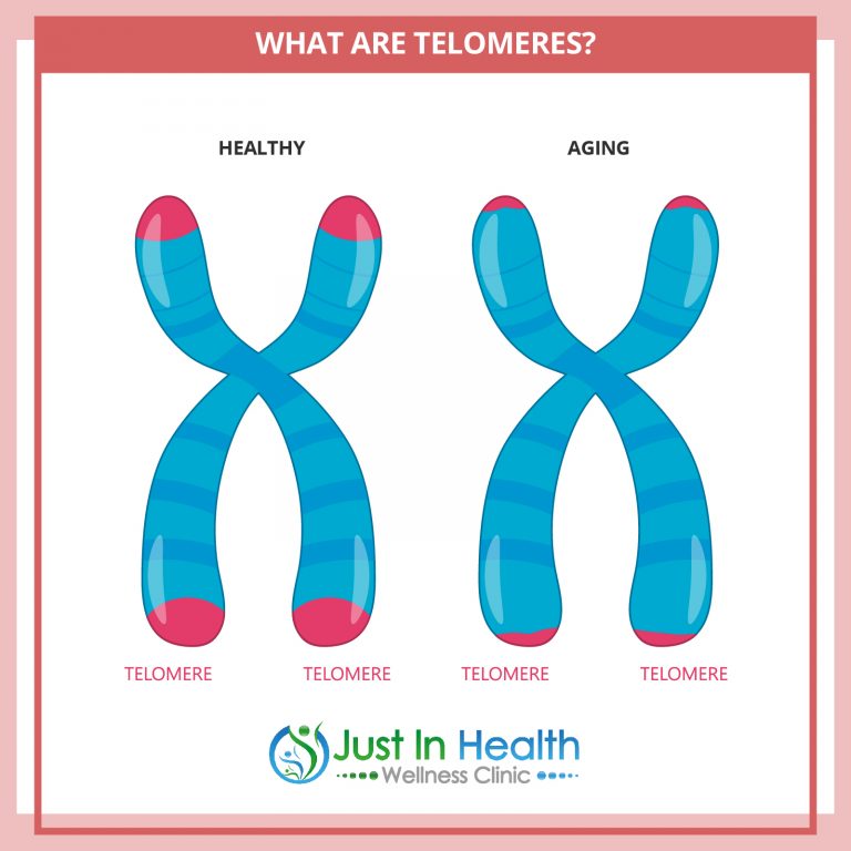 Telomeres How To Have Younger Dna