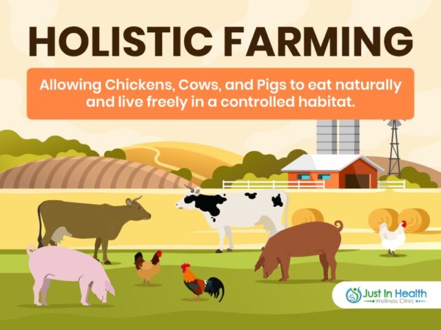Holistic Farming, Improving the Food Chain, Your Immune System Starts ...