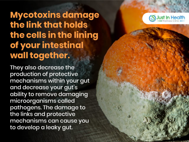 The Mold Gut Connection - How Your Digestive Issue Maybe Caused by Mold ...